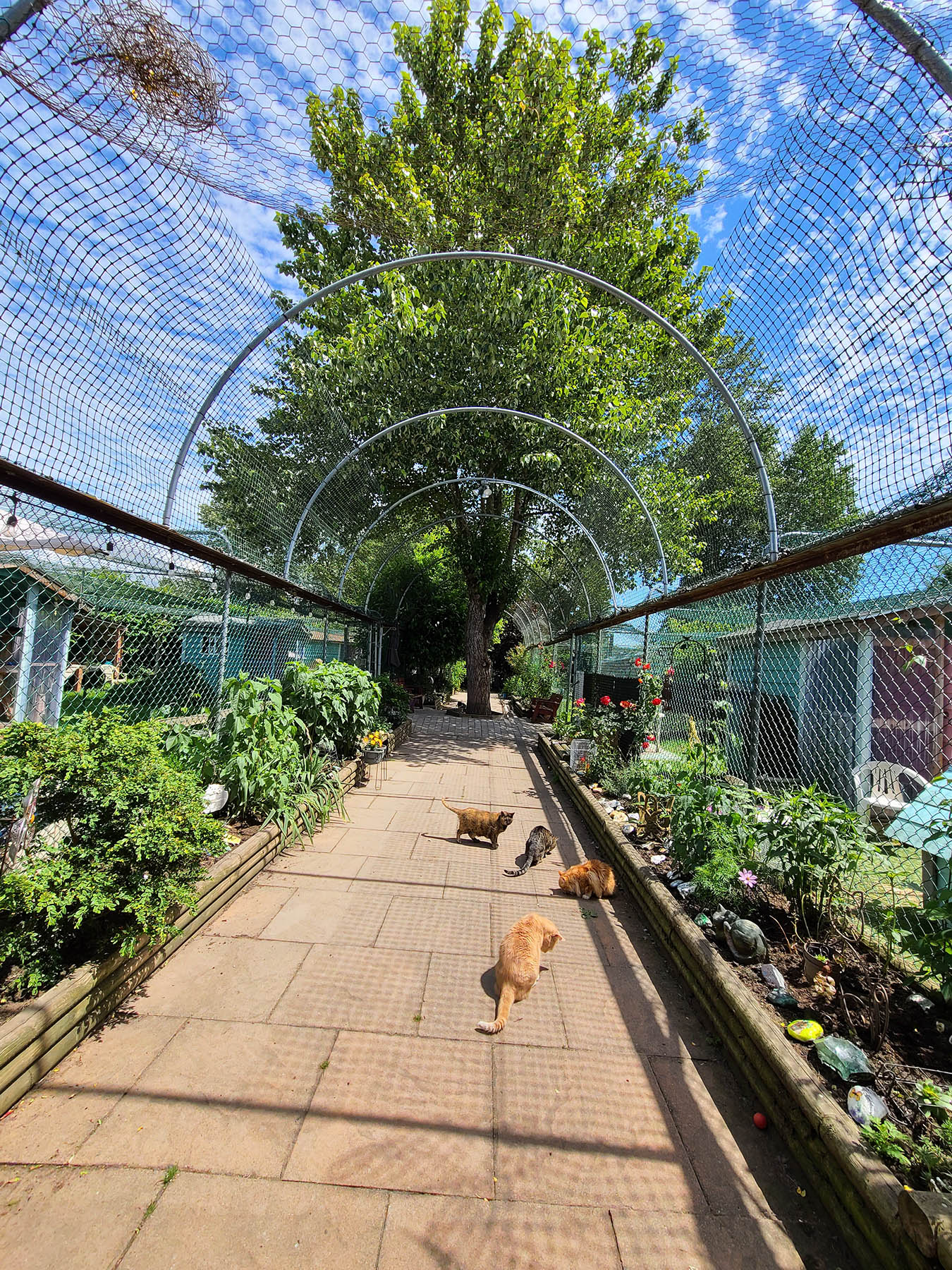 College of the Rockies teams with Regional Animal Protection Society ...